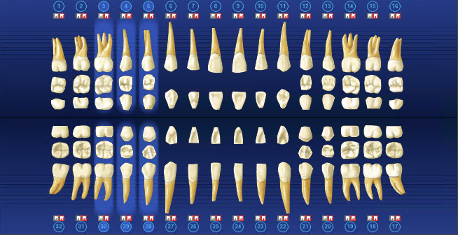 Viewing images of selected teeth