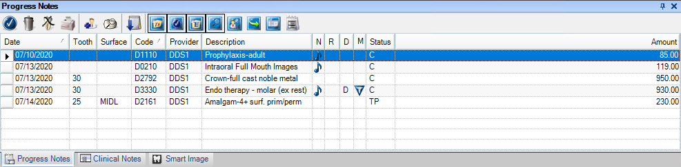The Progress Notes panel