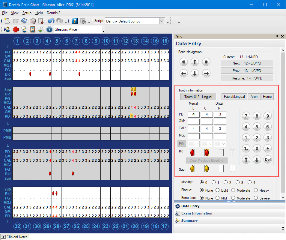 Charting bleeding and suppuration
