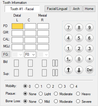 The Data Entry section overview