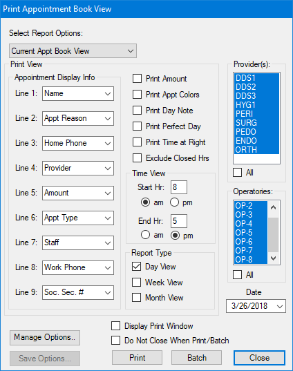 Printing the Appointment Book View report