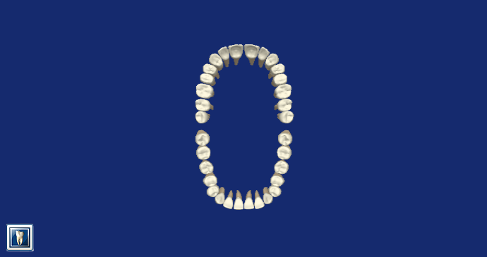 Rotating teeth in the arch view