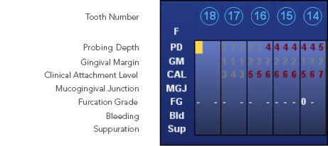 The Data Chart overview